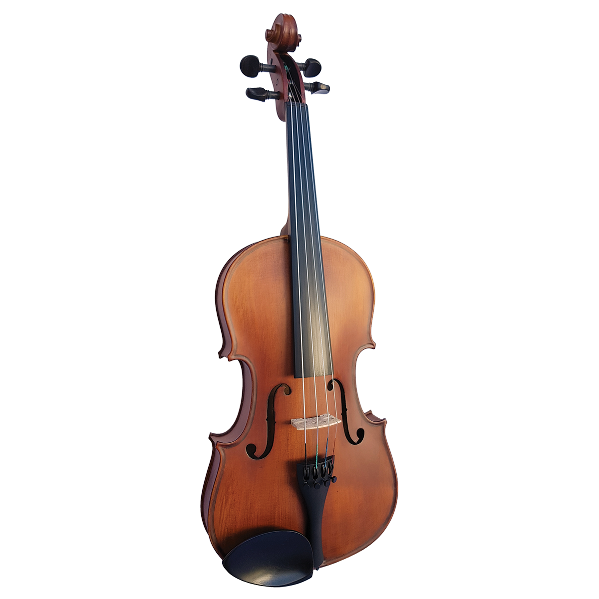 Vivo Student 11" Viola Outfit – All Music Direct